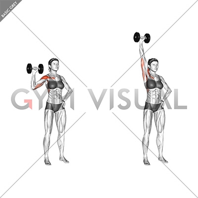 Single Arm Dumbbell Overhead Press
