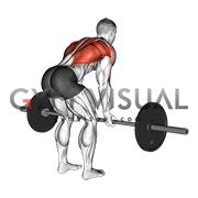 Reverse Grip Bent Over Rows