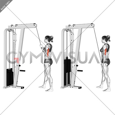 Reverse One Arm Cable Triceps Extensions