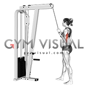 Cable One Arm Triceps Extension