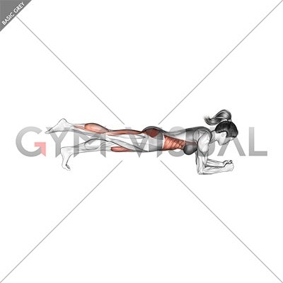 Front Plank with Leg Lift (female)