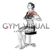 Seated Chest Press With Band