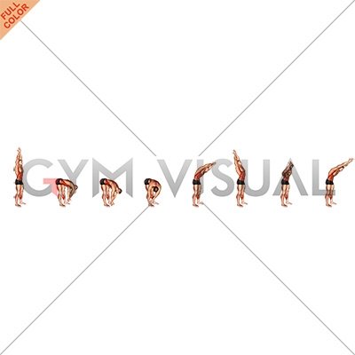 Hands Clasped Circular Toe Touch (male)