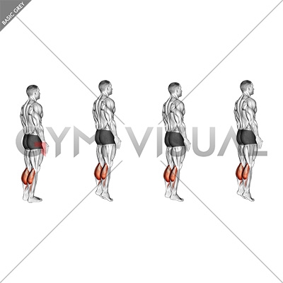 Plie Calf Raise Pulses