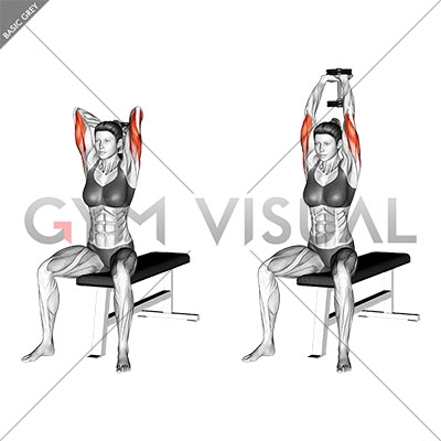 Seated Triceps Press