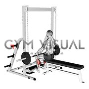 Smith Machine Calf Raises