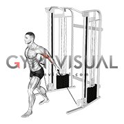 Cable Bicep Curls