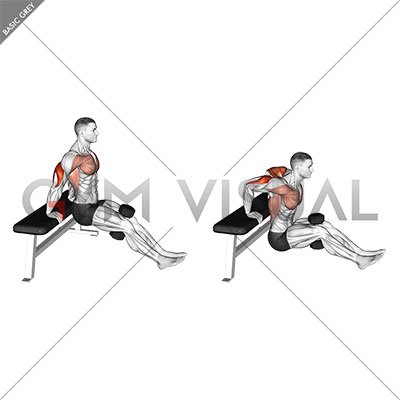 Weighted Dips Dumbbell