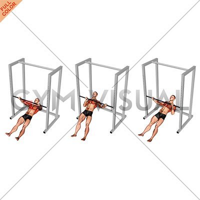 Inverted Row Slide on Floor