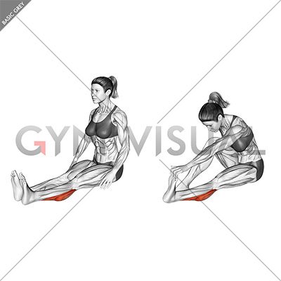 Seated Calf Stretch