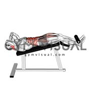 Weighted Decline Sit Ups