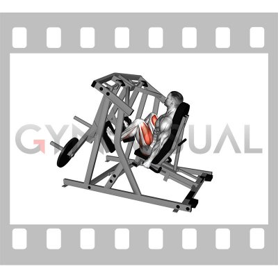 Lever Alternate Leg Press (plate loaded)