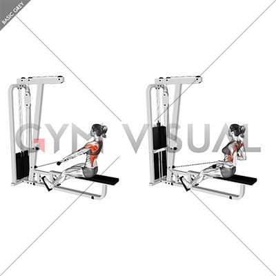 Seated Row Machine Diagram