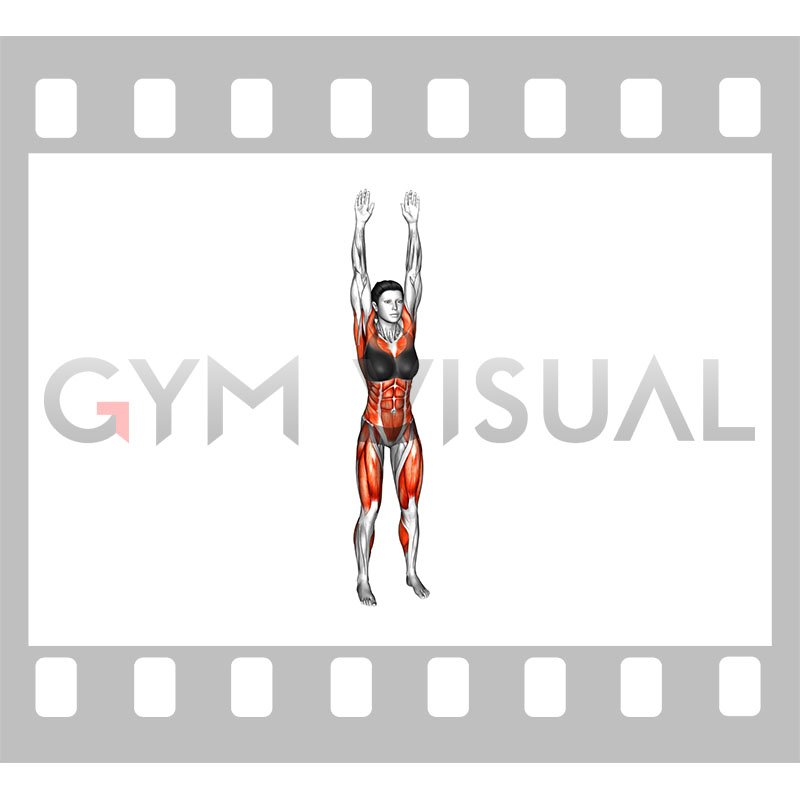 Standing Toe Touches