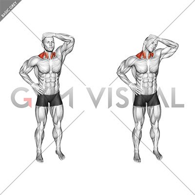 Side Neck Stretch