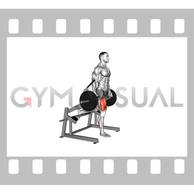 Lever Bulgarian Split Squat (plate loaded) (male)