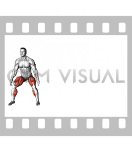 Animated workout videos, GIFs and illustrations - Gym visual