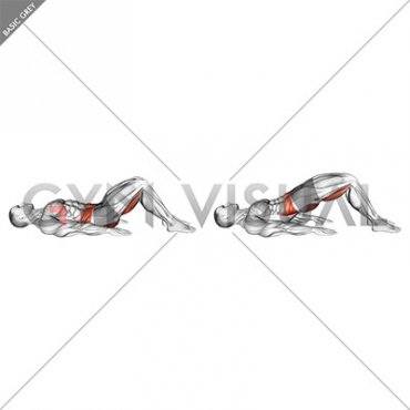 Hamstring Bridge (male) illustration