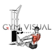 Close Grip Seated Rows