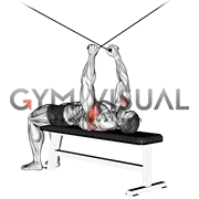 Supine Fly Exercise