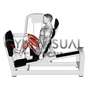 Leg Press Calf Raises