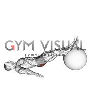 Stability Ball Leg Curl