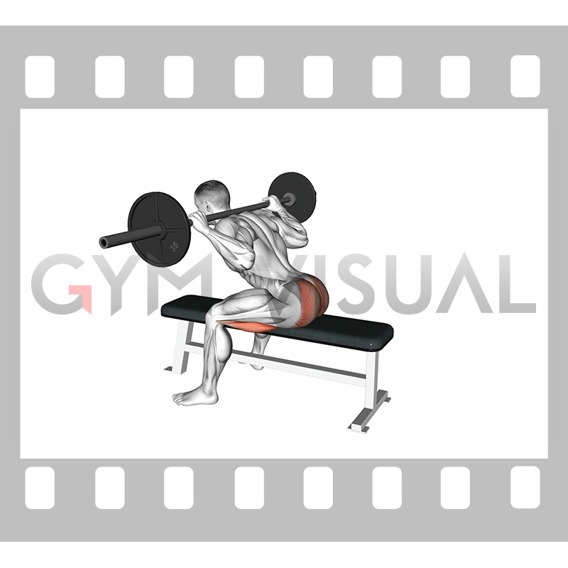 Seated Good Morning With Barbell