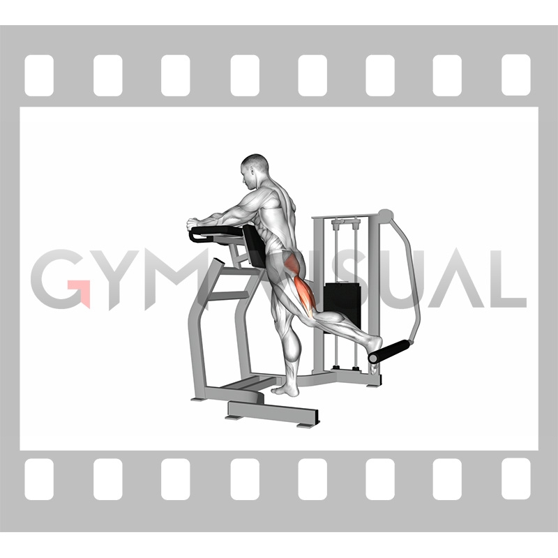 Standing Hip Extension