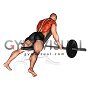 Barbell Reverse Grip Incline Bench Row