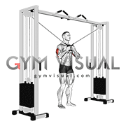 Cable Standing High Cross Triceps Extension
