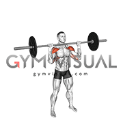 Barbell Standing Shoulders Press